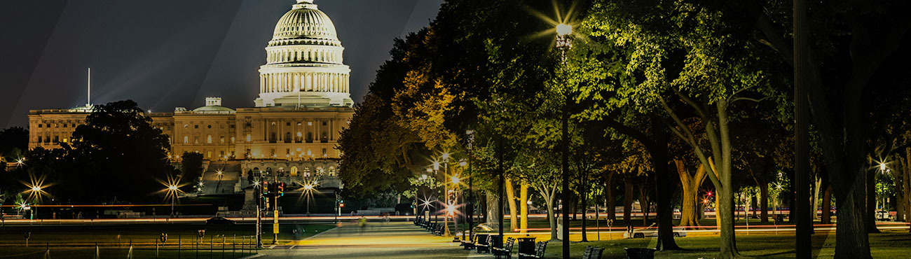 Government IT and Professional Development Training